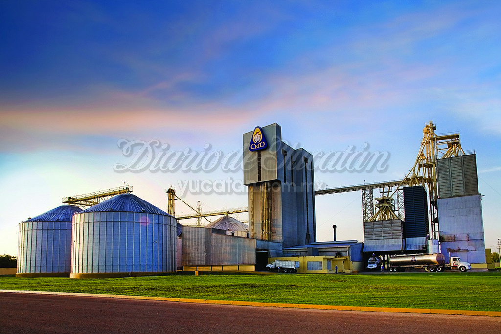 Grupo Crío medio siglo de comercializar huevo y pollo