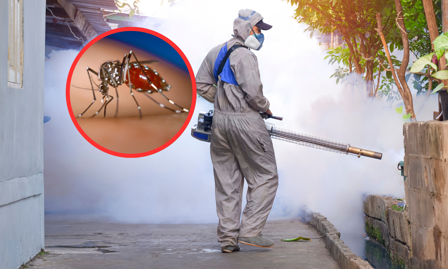 Calendario de fumigación contra el dengue en Mérida, ¿cuándo es en tu colonia?