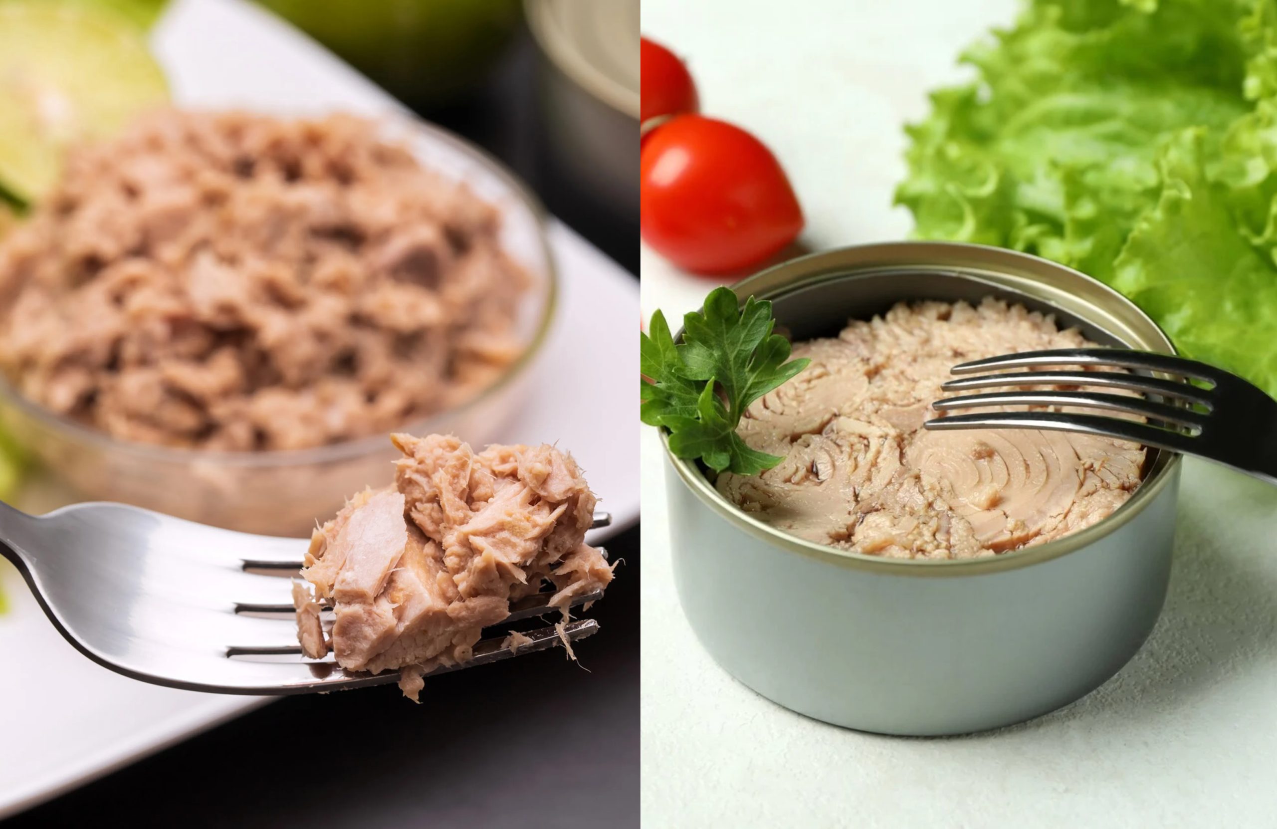 Atún enlatado, ¿qué tan saludable es comerlo? - Diario de Yucatán