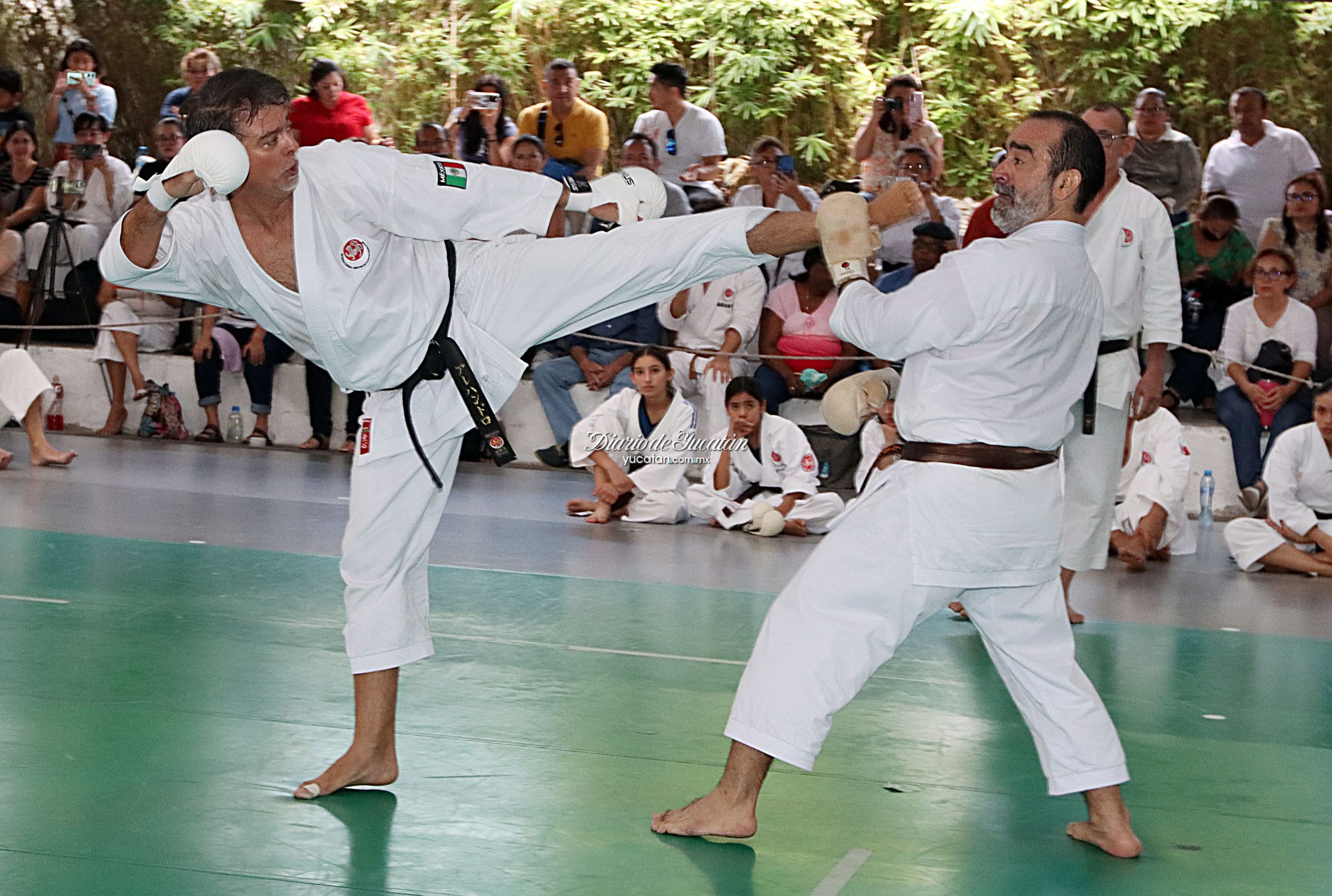 Pasión con aprendizajes: presentan examen de grado en el Dojo Central ...