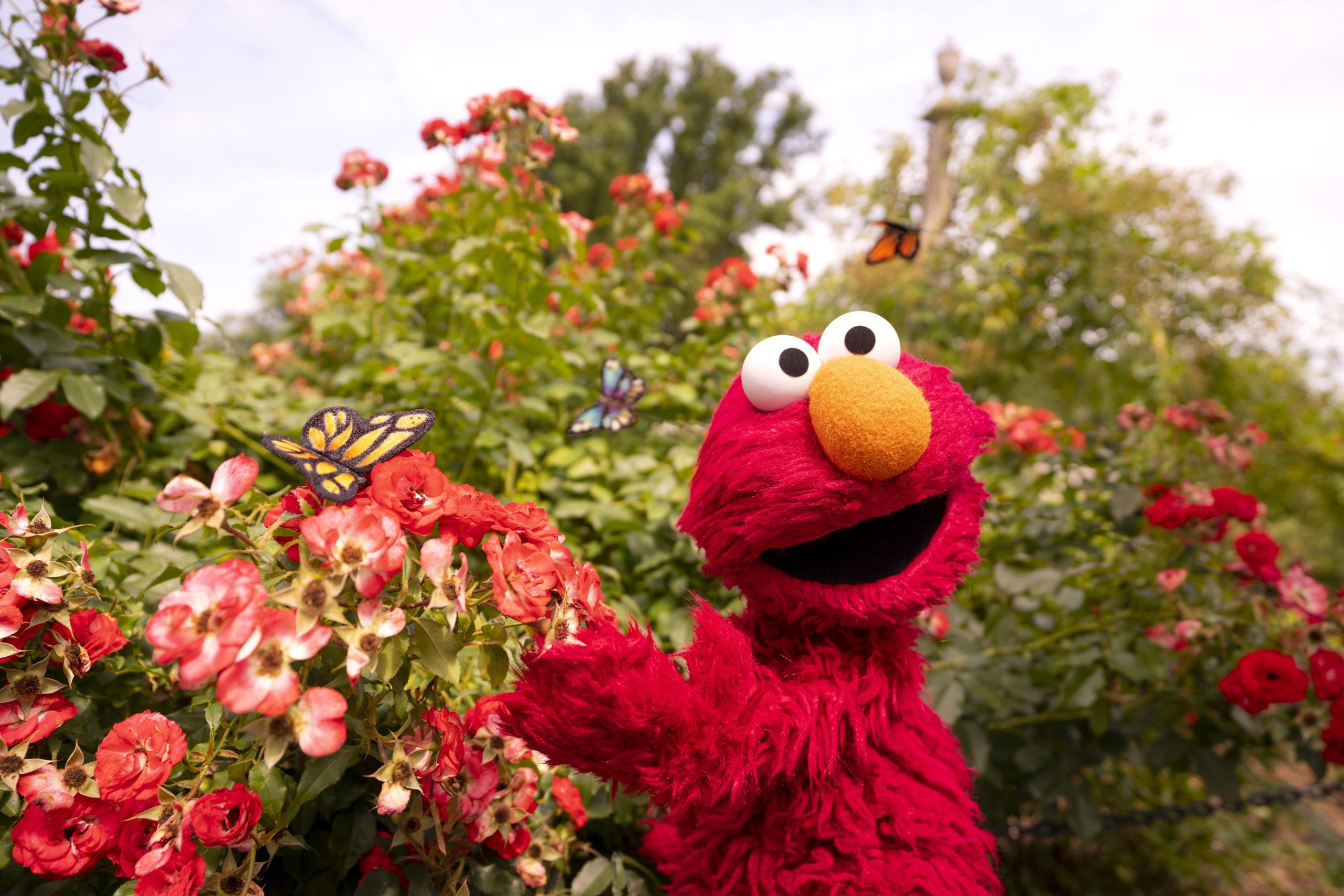 Elmo pregunta a las personas cómo están; destapa la tristeza de cientos ...