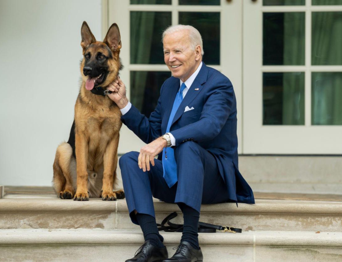 Expulsan a perro de Joe Biden de la Casa Blanca tras mordida al ... Expulsan a perro de Joe Biden de la Casa Blanca tras mordida al ...