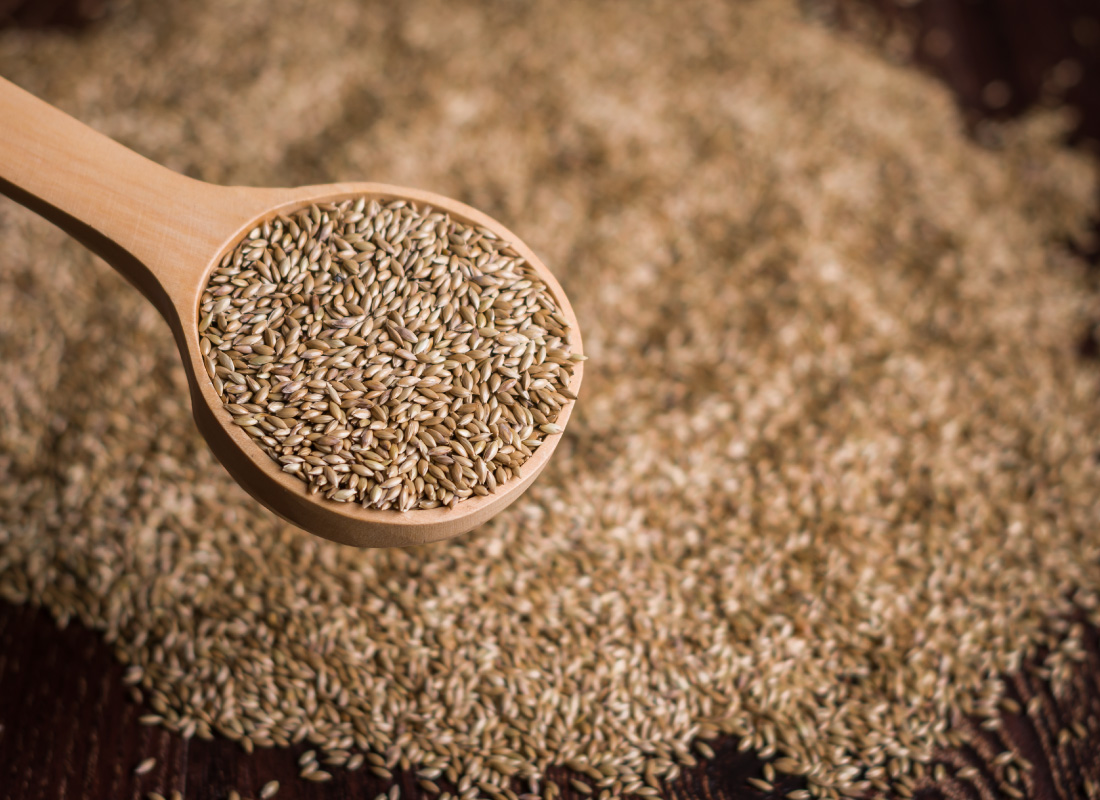 Alpiste, la semilla que cuida la salud de tus riñones - Diario de Yucatán