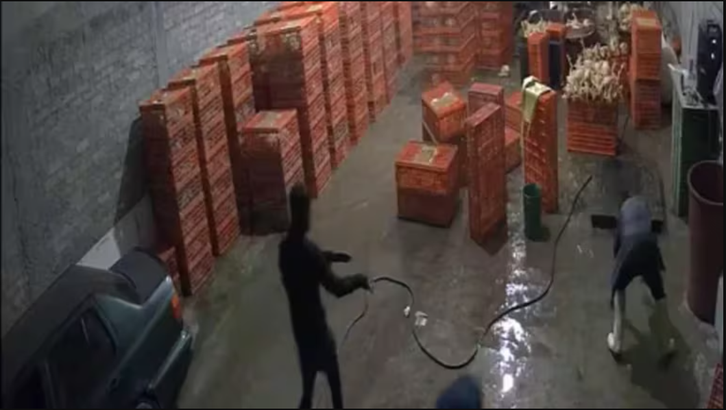 Rescatan a polleros que habían sido secuestrados en Toluca - Diario de ...