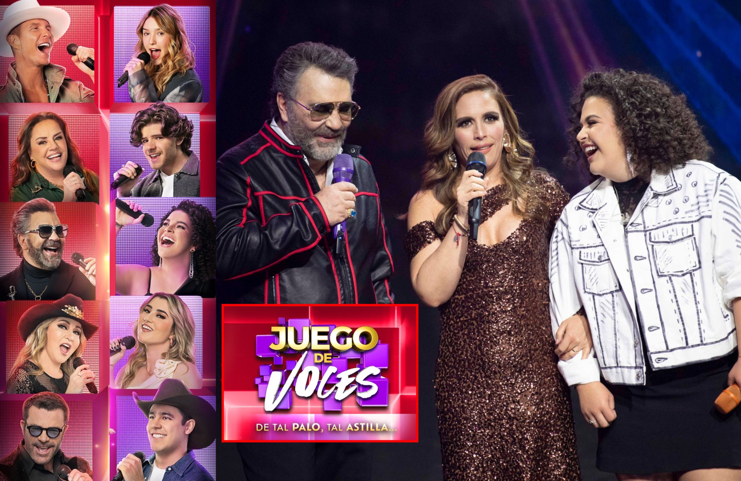 Juego de Voces. Horario, participantes y dónde verlo en vivo - Diario ...