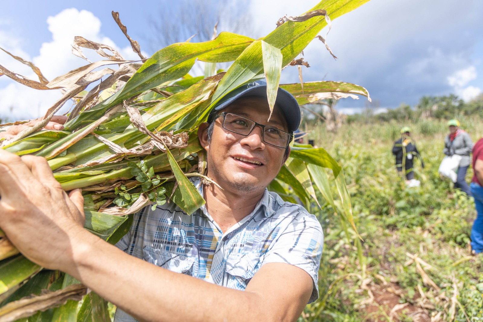 Comunidades mayas cuidan la tierra y mejoran la producción de sus ...
