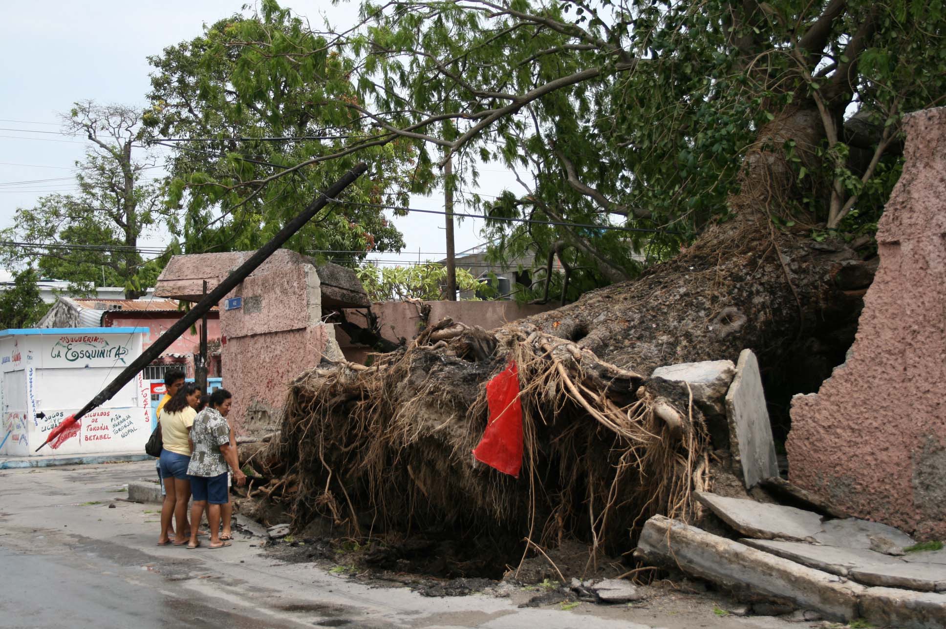 Temporada muy activa: llegarían 5 huracanes a México - Diario de Yucatán