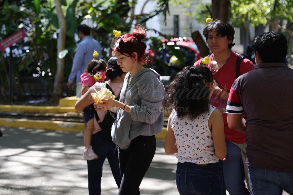 Familias visitan el Centenario y Animaya para aprovechar el inhábil