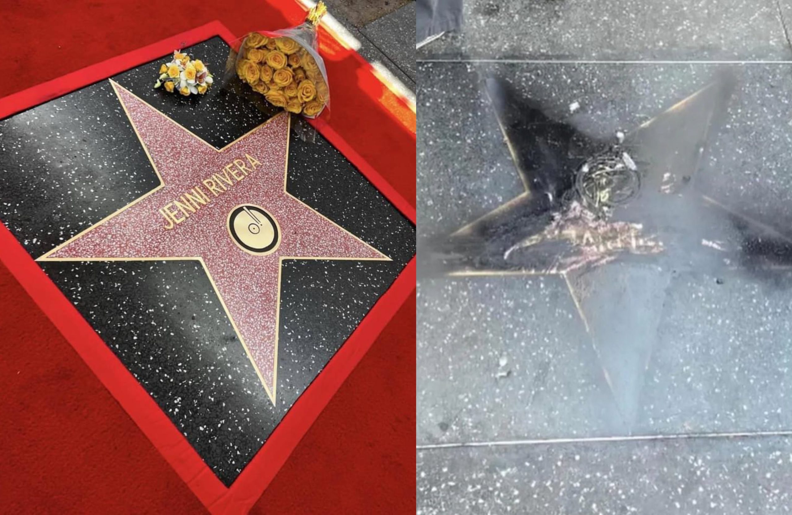 Estrella de Jenni Rivera en el Paseo de la Fama de Hollywood fue ...